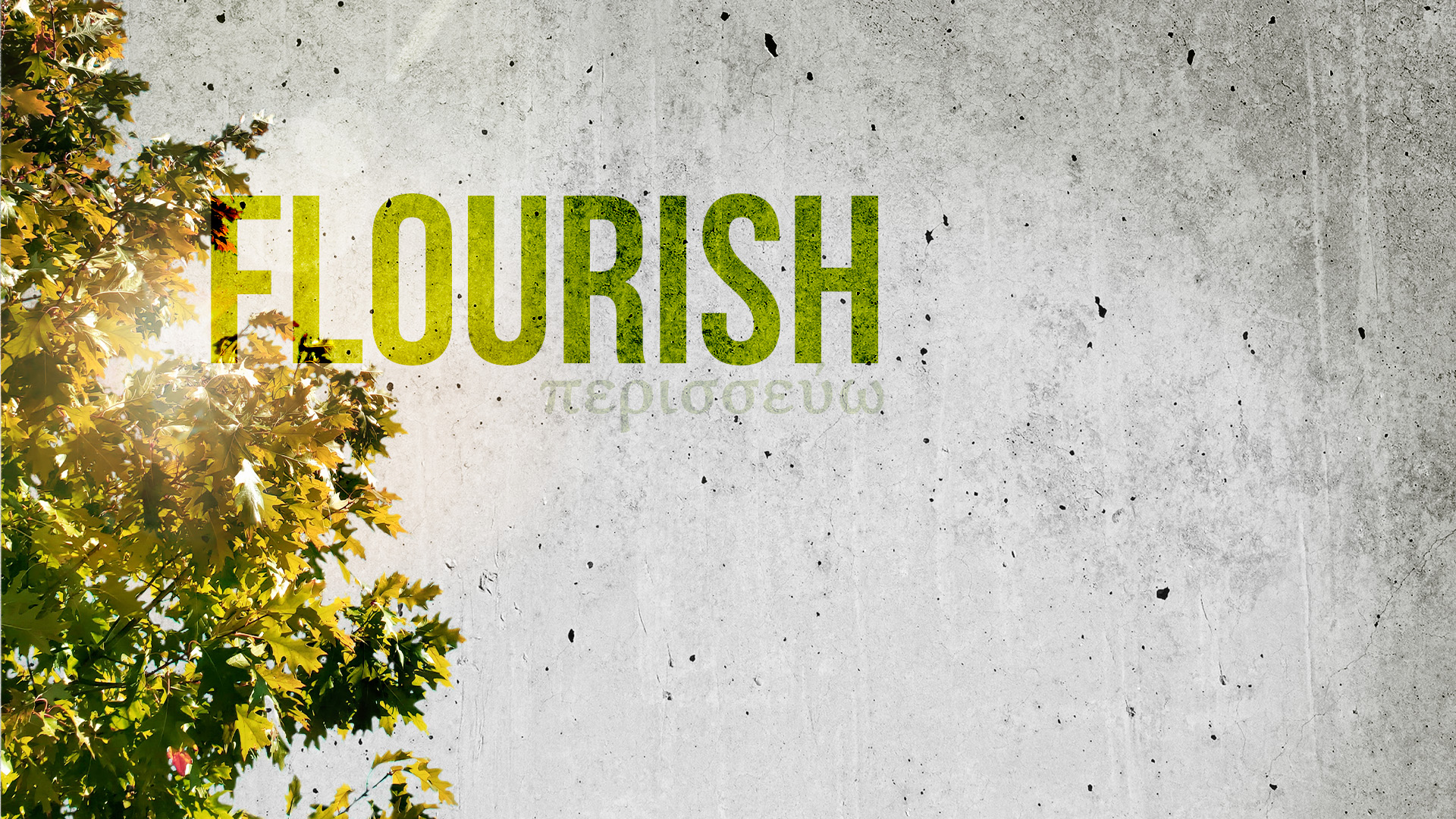 Fragrant Offering | The Crossing Online | The Crossing Online